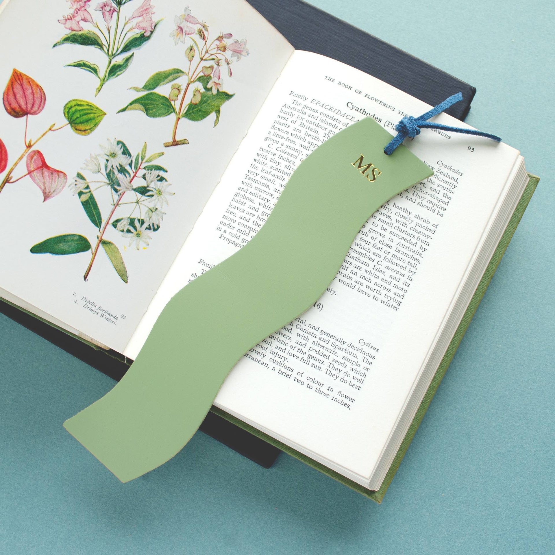 Homeware – Studio Lowen